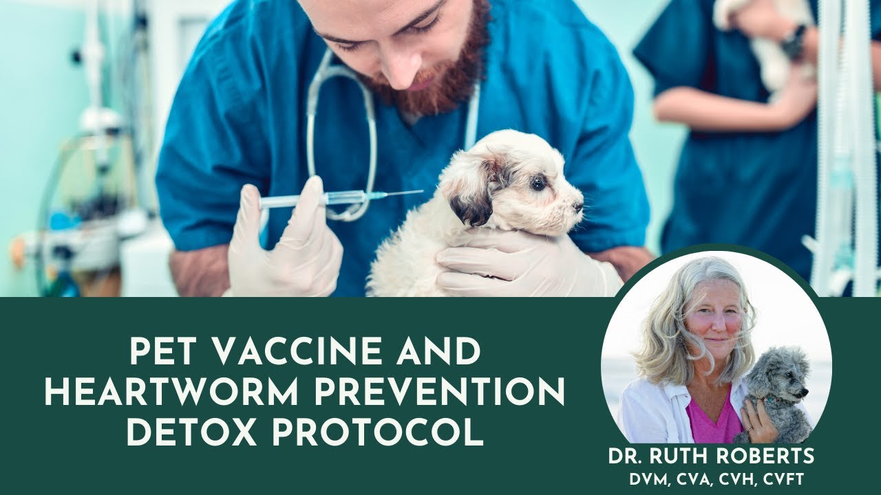 Vaccine Guide and Heartworm Prevention In Dogs: Holistic Vet Experts ...