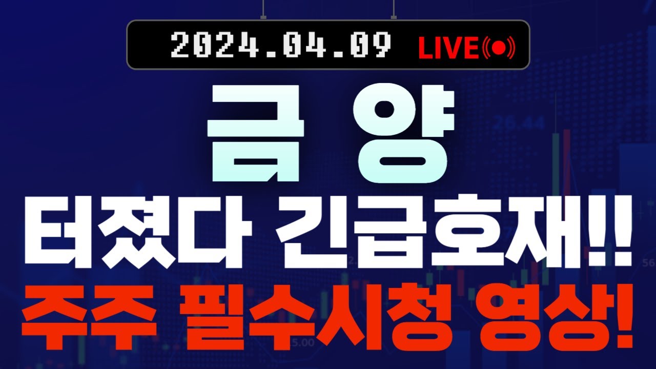 금양 주가전망 터졌다 긴급호재 주주 필수시청 영상 금양 금양주식전망 금양주가전망금양주가금양전망금양주식금양