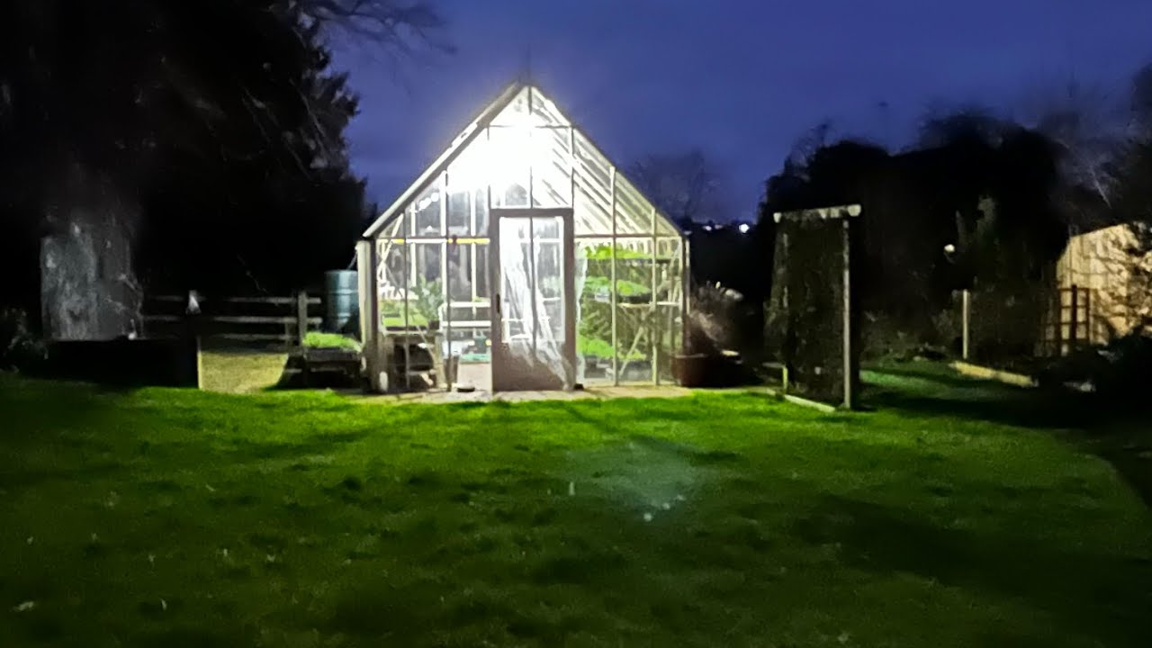 Light levels are now at rock bottom - Greenhouse update 17th December ...
