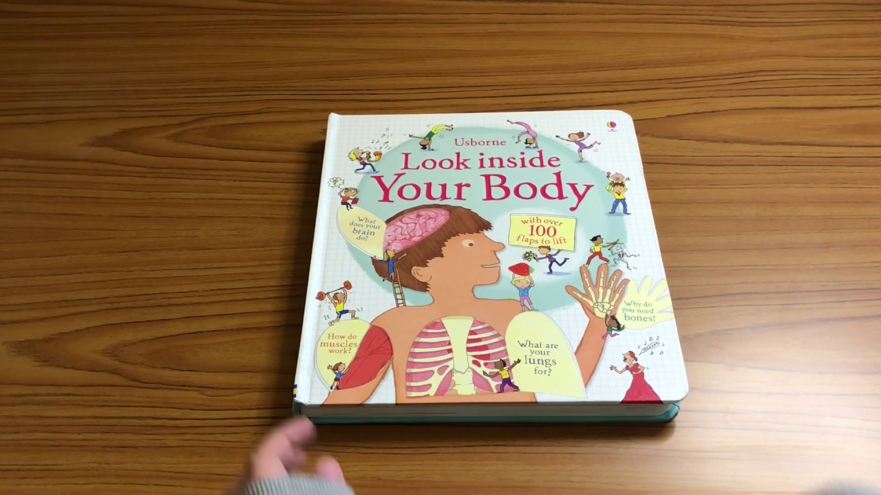 look inside your body book /Usborne with over 100 flaps to lift كتاب عن ...