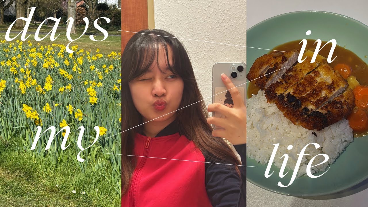 life lately 🌸 | seulgi album unboxing, cooking katsu curry, harry ...
