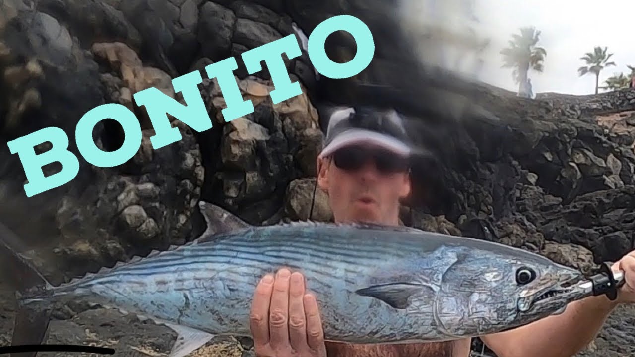 Fishing Lanzarote | lure fishing heaven | Megabass Zonk - YouTube