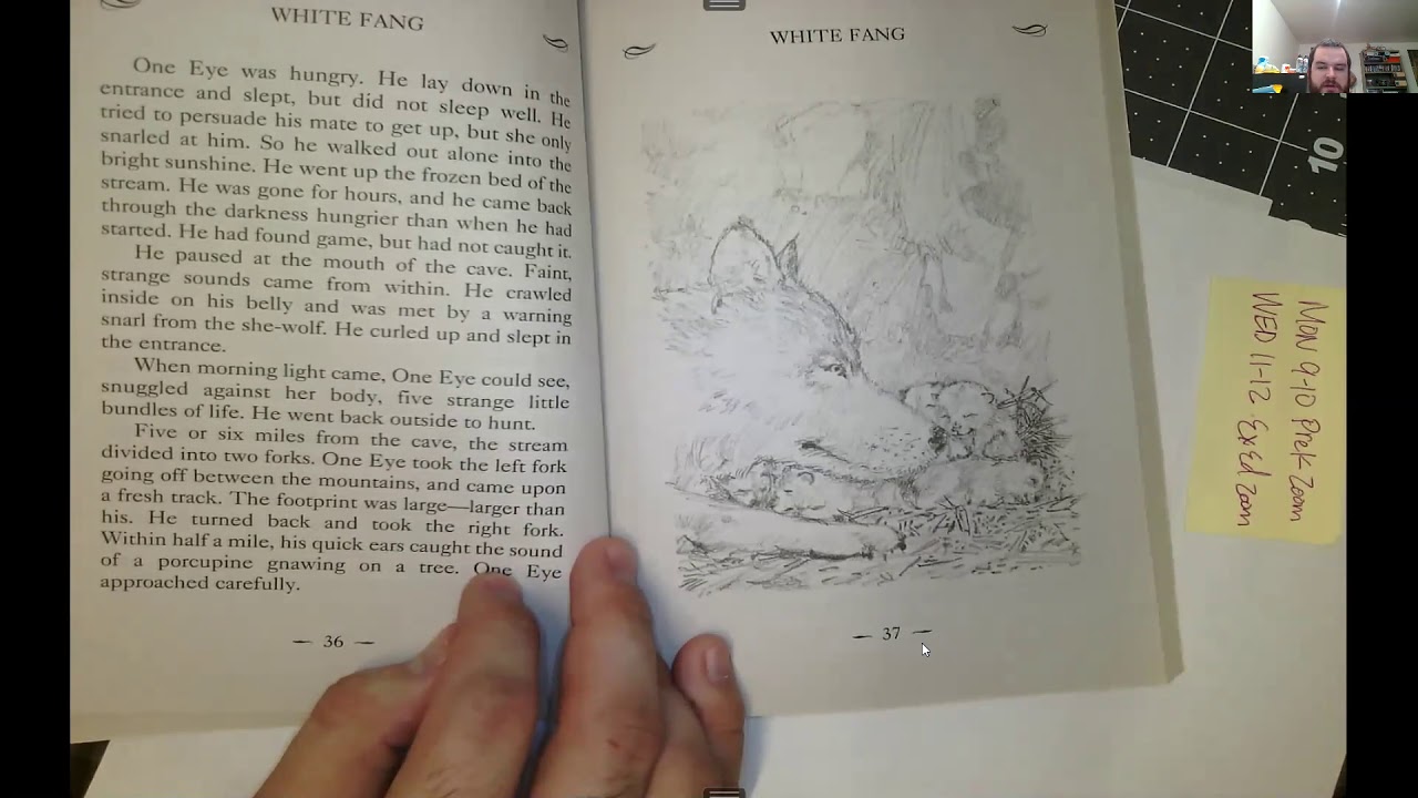 White Fang, Chapters 3 and 4 - YouTube