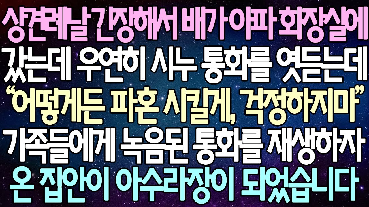 반전 사연 상견례날 긴장해서 배가 아파 화장실에 갔는데 우연히 시누이 통화를 엿듣는데 가족들에게 녹음된 통화를 재생하자 온