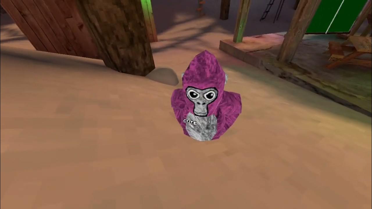 Teaching new players how to play gorilla tag.(part 3) - YouTube