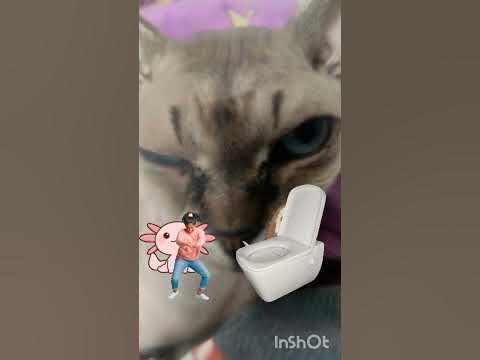 как я хочу в туалет на улице - YouTube