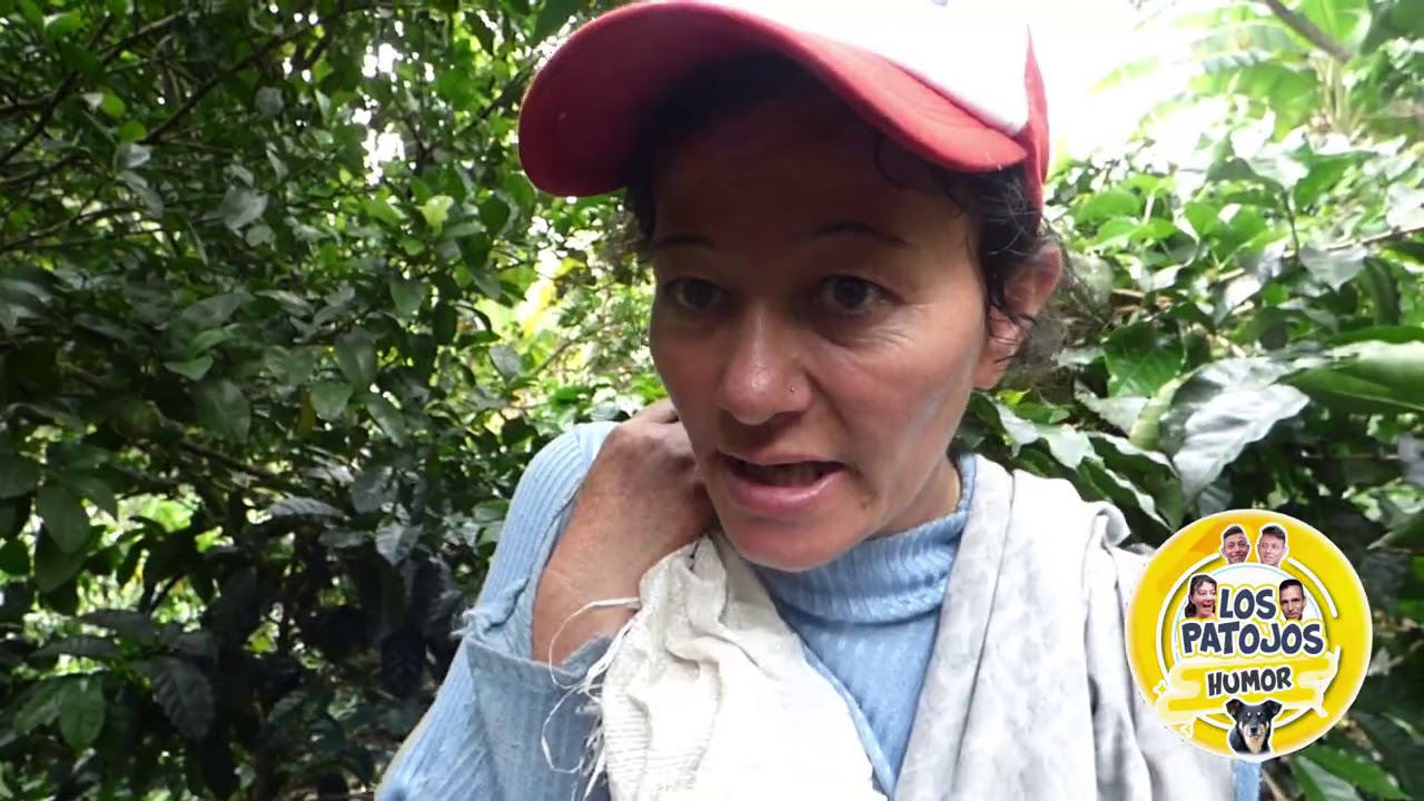 EL CAFE - LOS PATOJOS HUMOR - YouTube