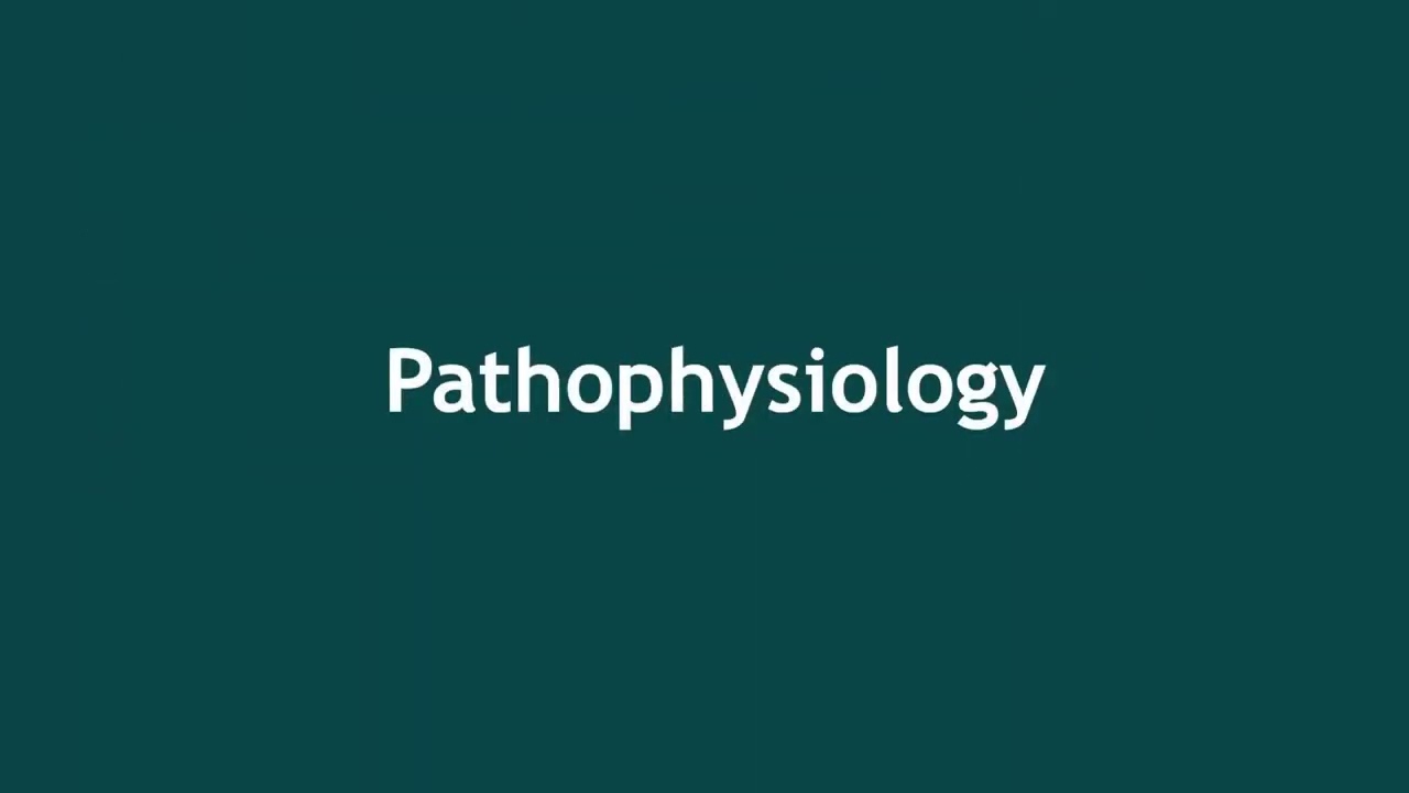 Metabolic Syndrome – A Serious Underlying Pathophysiology - YouTube