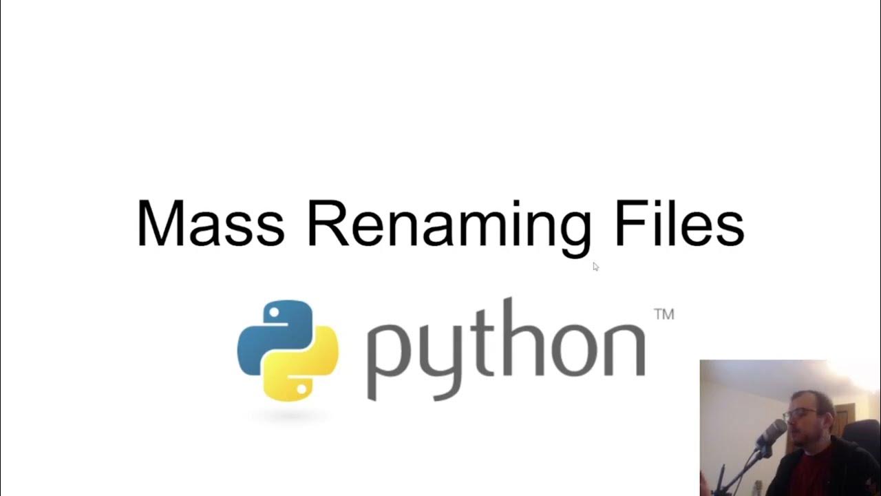 Python Automation - Mass Files Renaming - YouTube