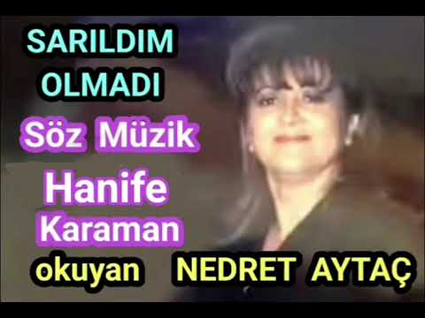 SARILDIM OLMADI - NEDRET AYTAÇ
