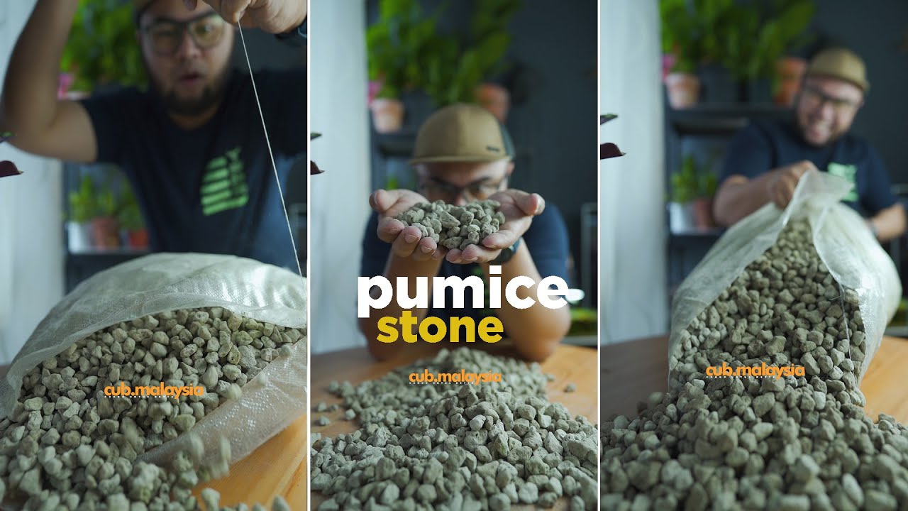 unboxing seguni pumice rock - YouTube