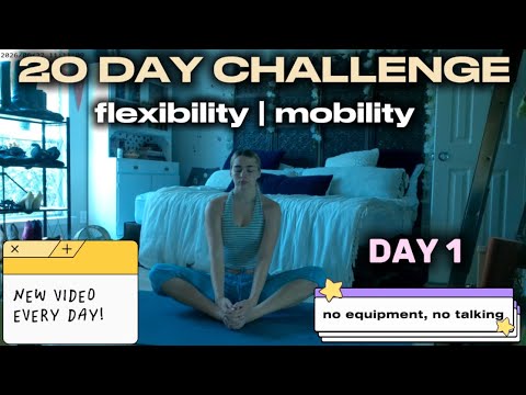 DAY 1 | 12 MIN GENTLE FULL BODY STRETCH | 20 DAY FLEXIBILITY/MOBILITY CHALLENGE