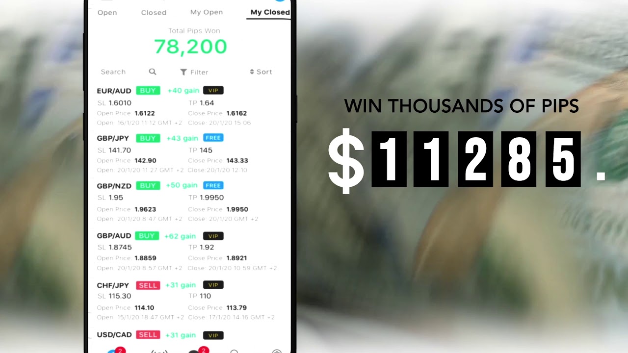 Premium Trading Forex Signals - YouTube