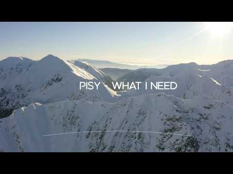 PISY - What I need