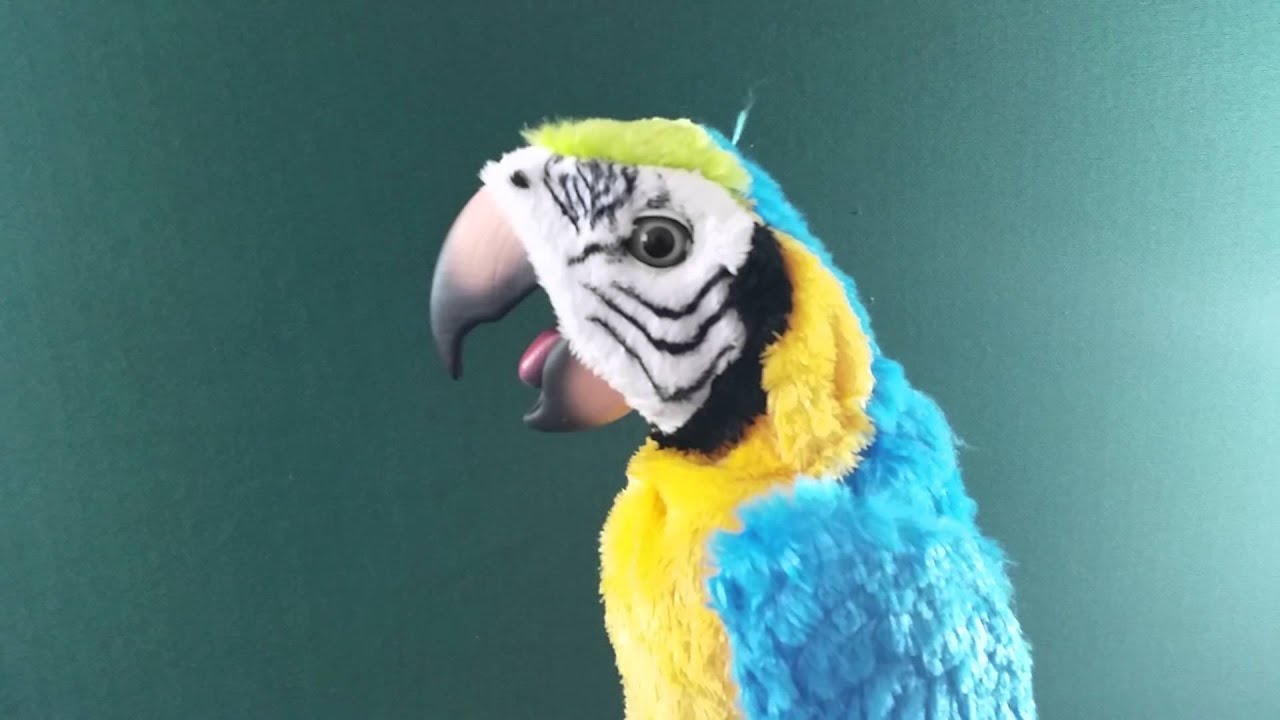 Hasbro Talking Parrot FurReal Interactive Bird. Works Great - YouTube
