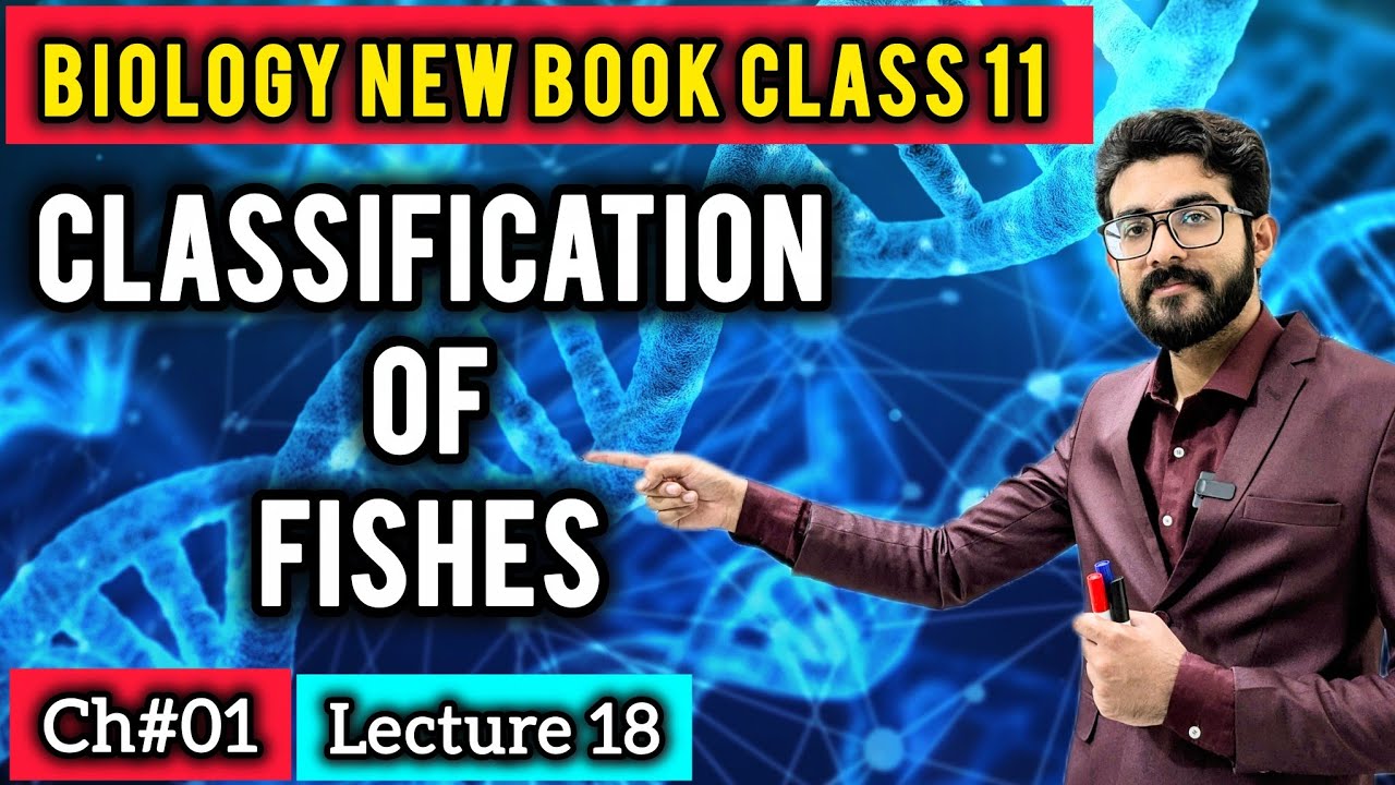 Classification of Fishes (Pisces) | Chondrichthyes & Osteichthyes ...