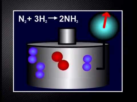Chemical Equilibrium Calculations and Pressure: Grade 12 Physical ...