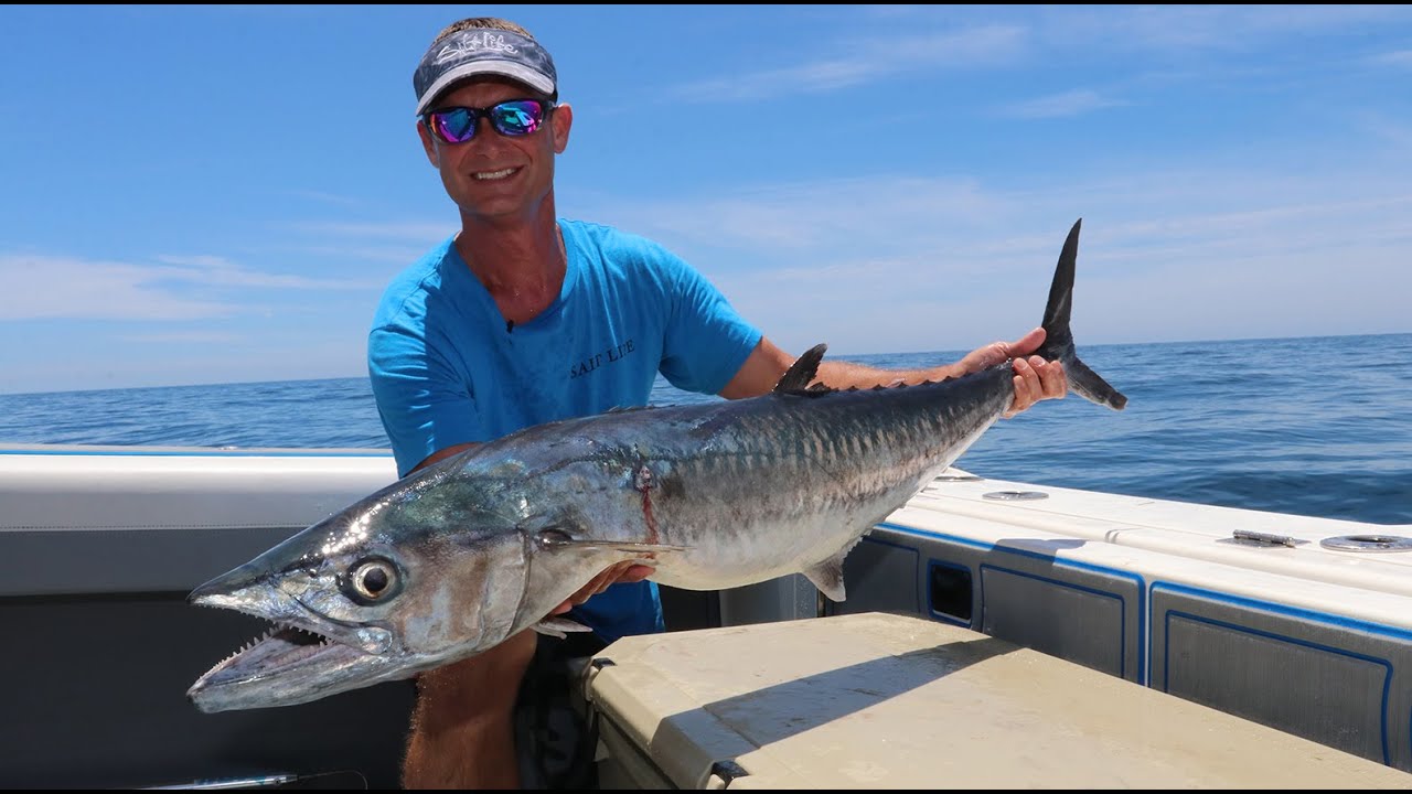 Kingfish fun in Florida! - YouTube