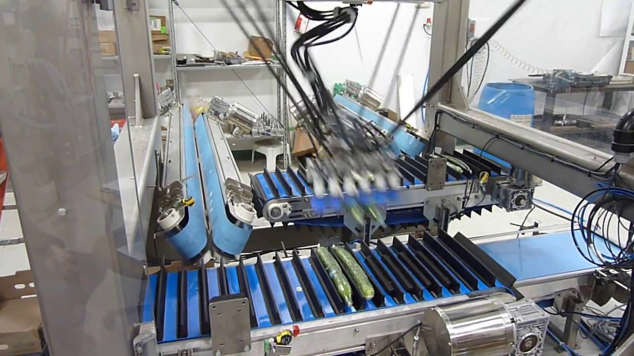 Cucumber Robotic Picking and Loading - YouTube