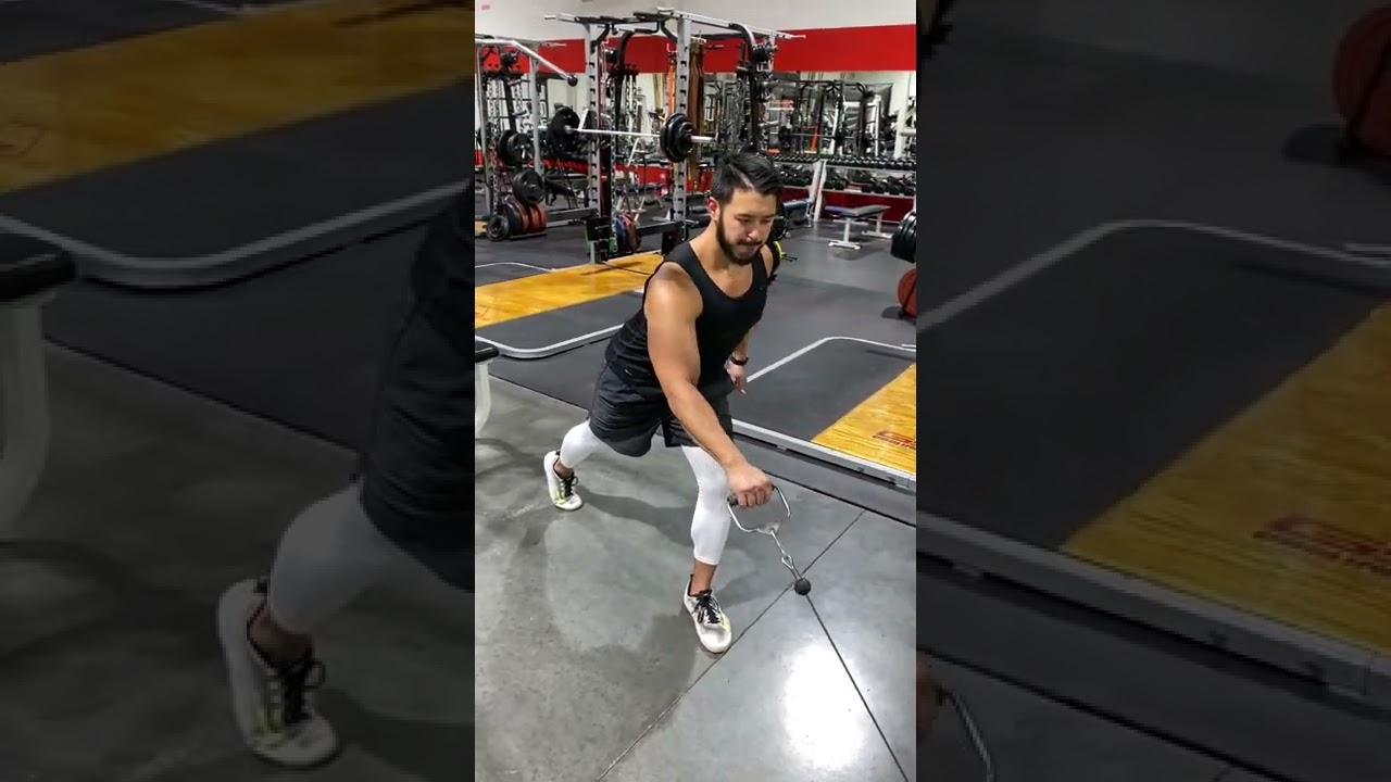 Athletic Row & Therapeutic!! Single Arm Split Stance Rotational Cable ...