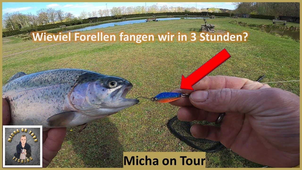 Erfolgreich für 3 Stunden auf Forelle // Spoon Powerbait Bienenmade ...