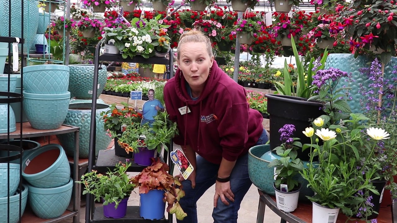Pollinator Friendly Flowering Container Garden - YouTube