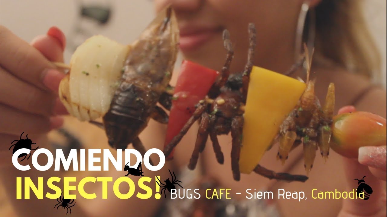 Eating Bugs At BUGS CAFE In Siem Reap, Cambodia - YouTube