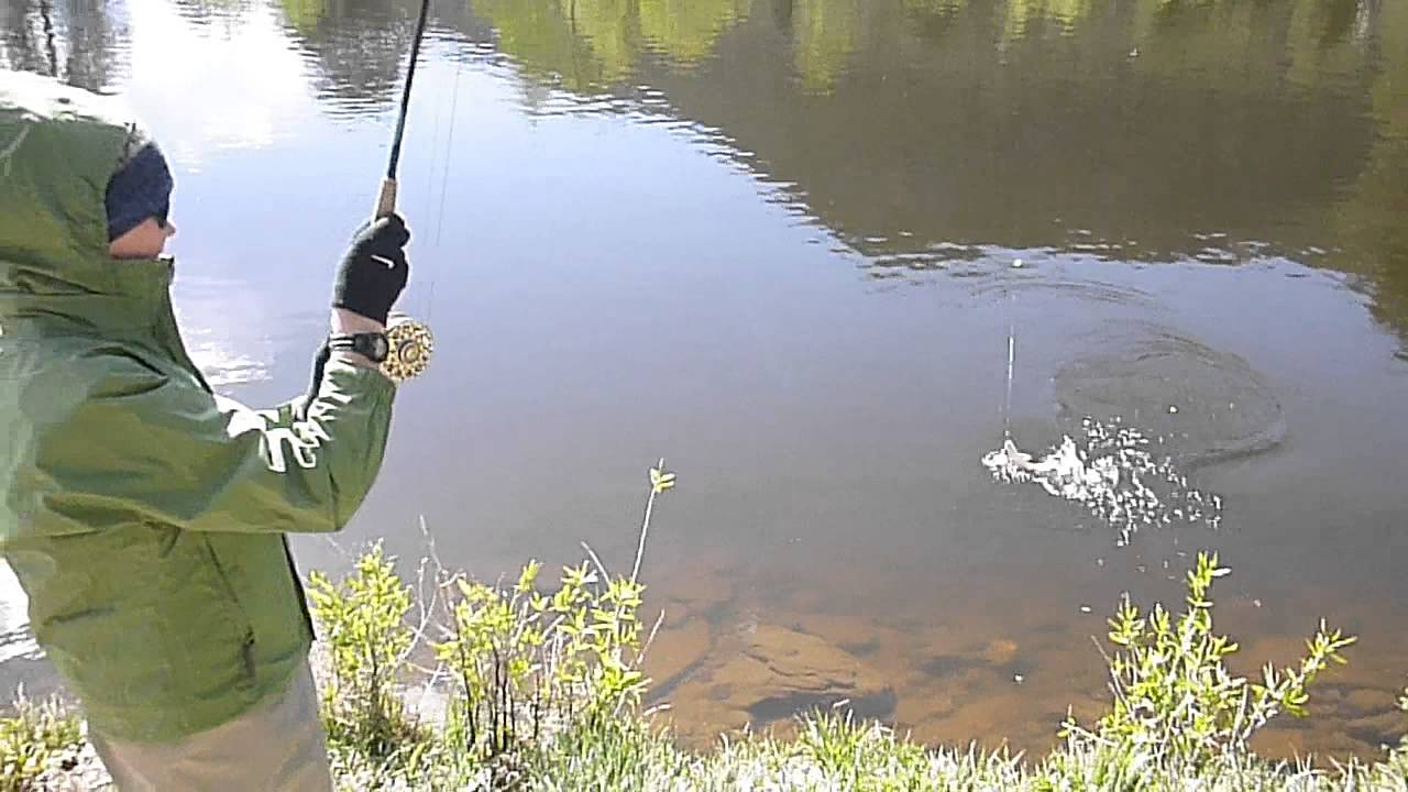TRENT CATCHING TROUT KIDS POND ESTES PARK - YouTube