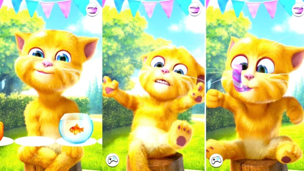 Talking Ginger 2 🌶️🍒🍎 / talking ginger cat // talking ginger funny ...