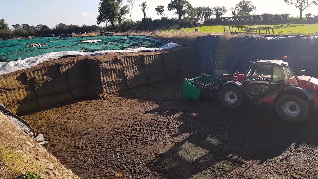 Dairylink: calf rearing in full swing in Down - YouTube