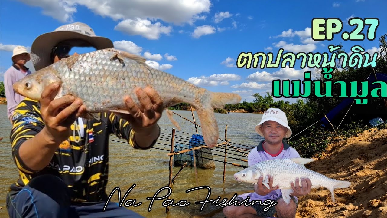 ตกปลาแม่น้ำมูล @Na Pao Fishing - YouTube