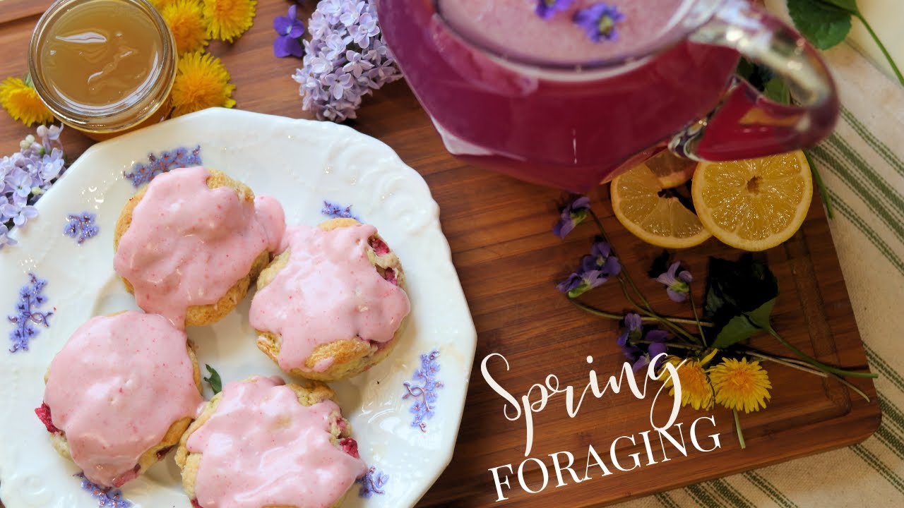 Springtime Backyard FORAGING | I Finally Made THIS Happen! - YouTube