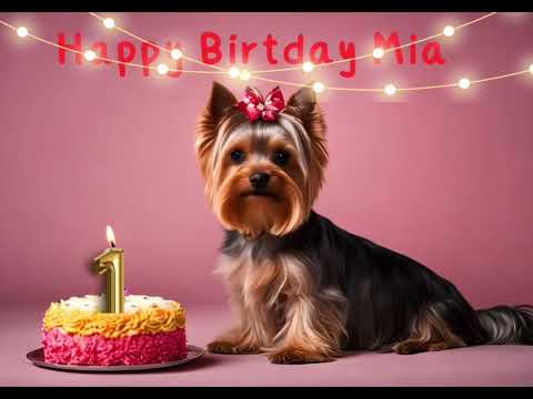 Köpüşümün Doğum günü! 1 yaşına girdi! İyiki doğdun mia!🥳