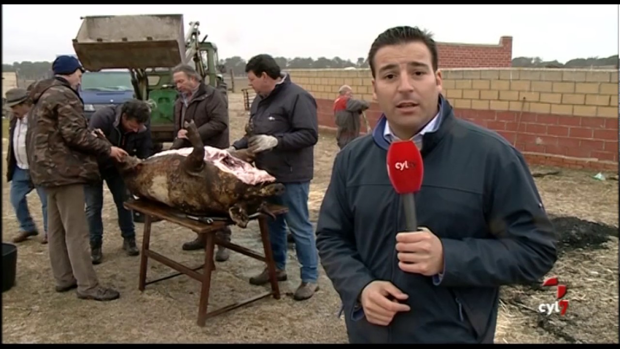 La matanza tradicional del cerdo, una tradición con los días contados ...