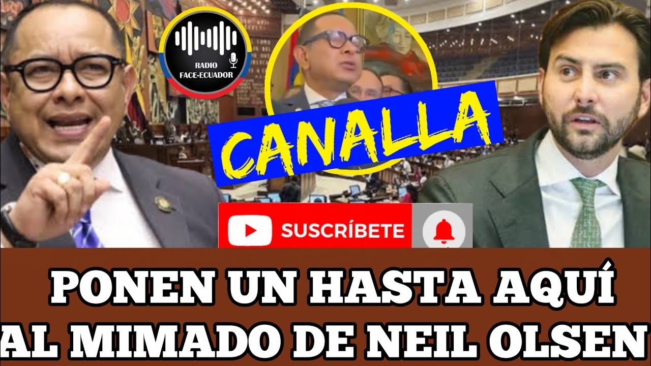 NEIL OLSEN LE PONEN UN HASTA AQUÍ ASAMBLEISTA DE LA REVOLUCIÓN ...