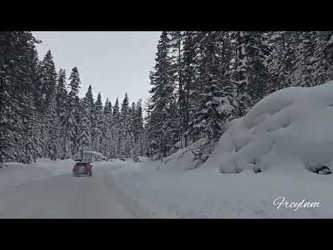 Aşkın Nur Yengi - Susma (90'ların en güzel şarkıları)