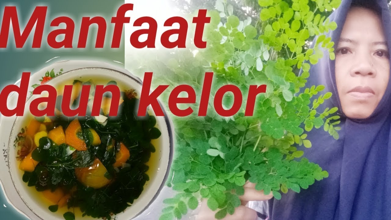 Sayur bening daun kelor /godong kelor - YouTube