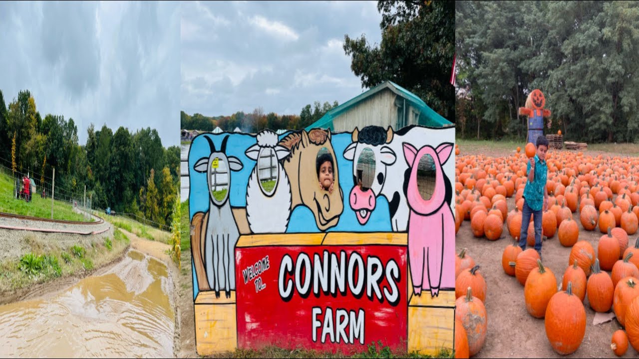 Connors farm in USA//beautiful farm in Boston//USA farm - YouTube