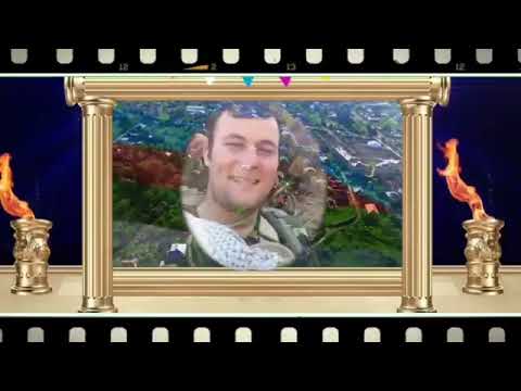 Əbülfəz Məmmədov - Xudayar təsnifi - kampazisiya