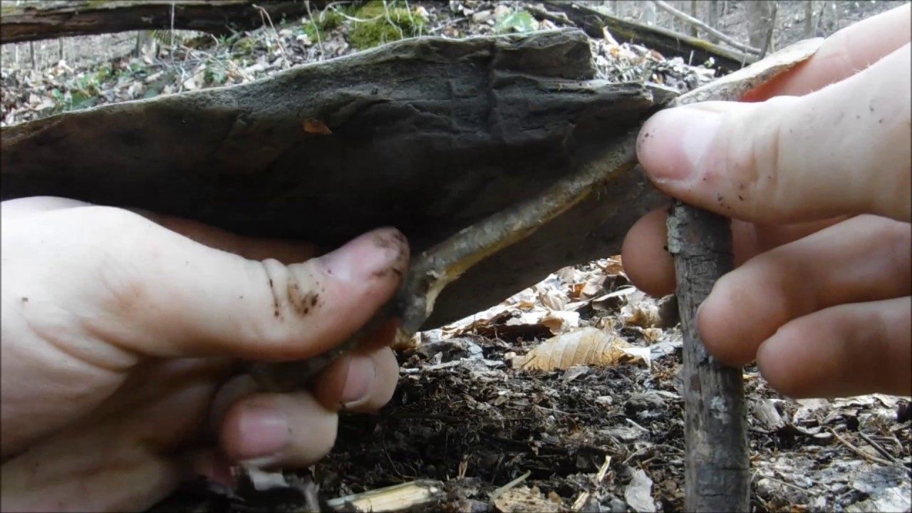 SSR How to set up a two-stick deadfall trap - YouTube