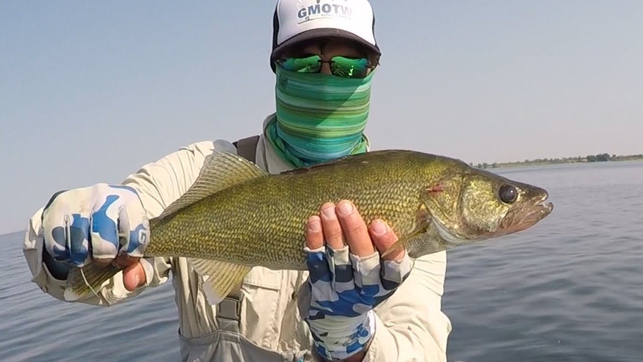 Crushing Walleye On Jigging Raps During Dog Days of August - YouTube