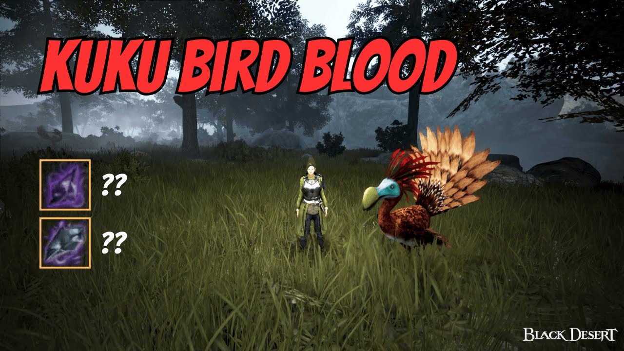 BDO Life | Kuku Bird Blood | 2650 Mastery - YouTube