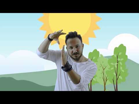 Küçük Kuş 🐦 - OKUL ÖNCESİ ve İLK OKUL ÇOCUK ŞARKISI | Baykuş Çocuk Şarkıları | Burak Onurlu