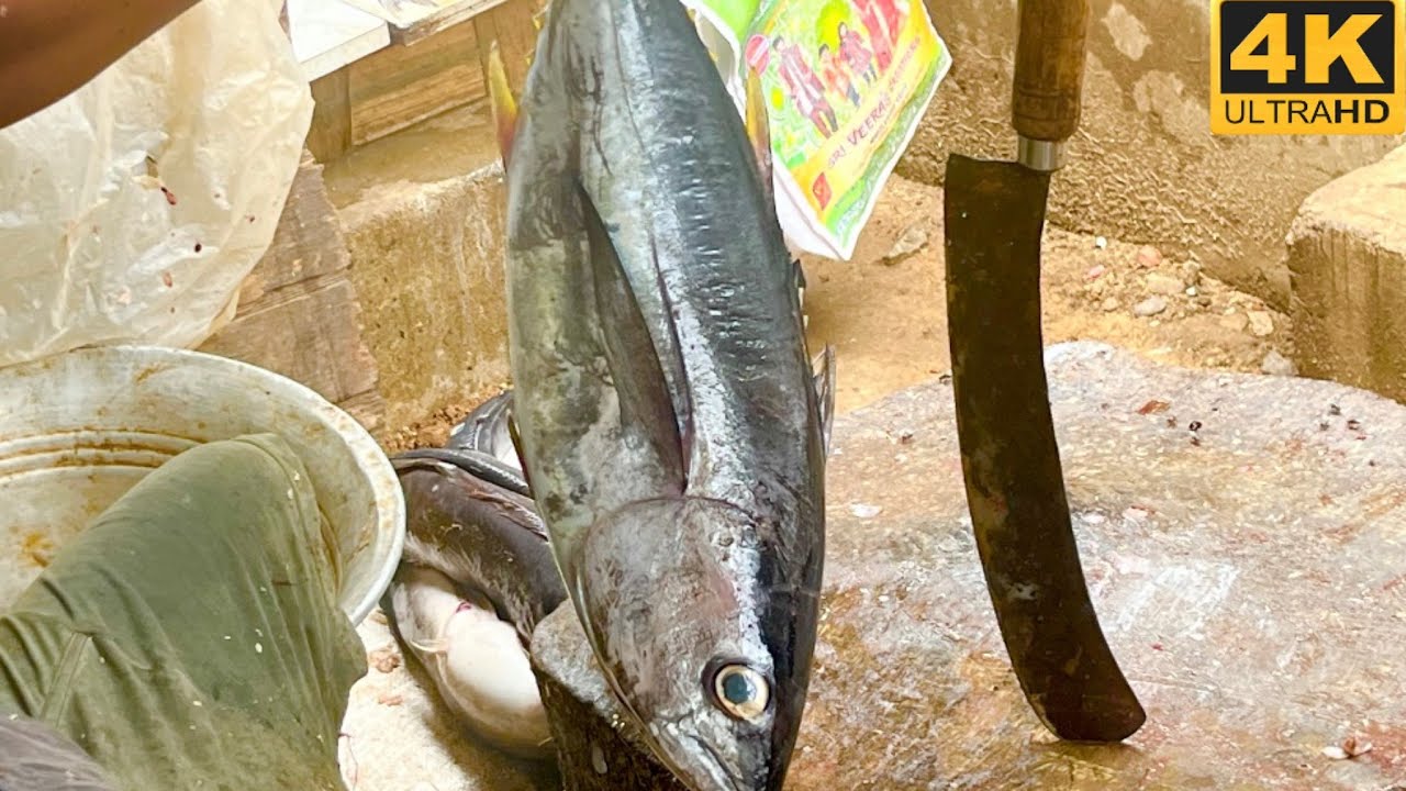 Kerai fish cutting video/fishcuttingrs#fish #kasimedu #fishcuttingrs ...