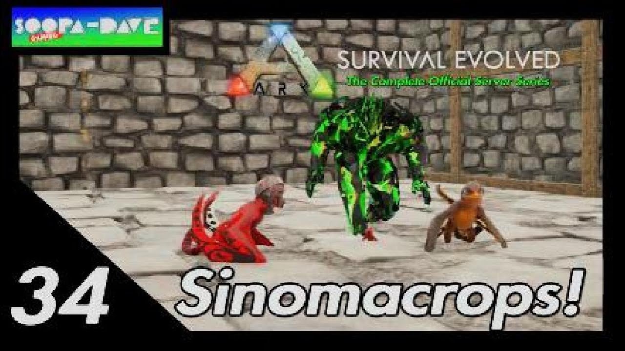 Ark Survival Evolved Sinomacrops Taming Official Server - YouTube