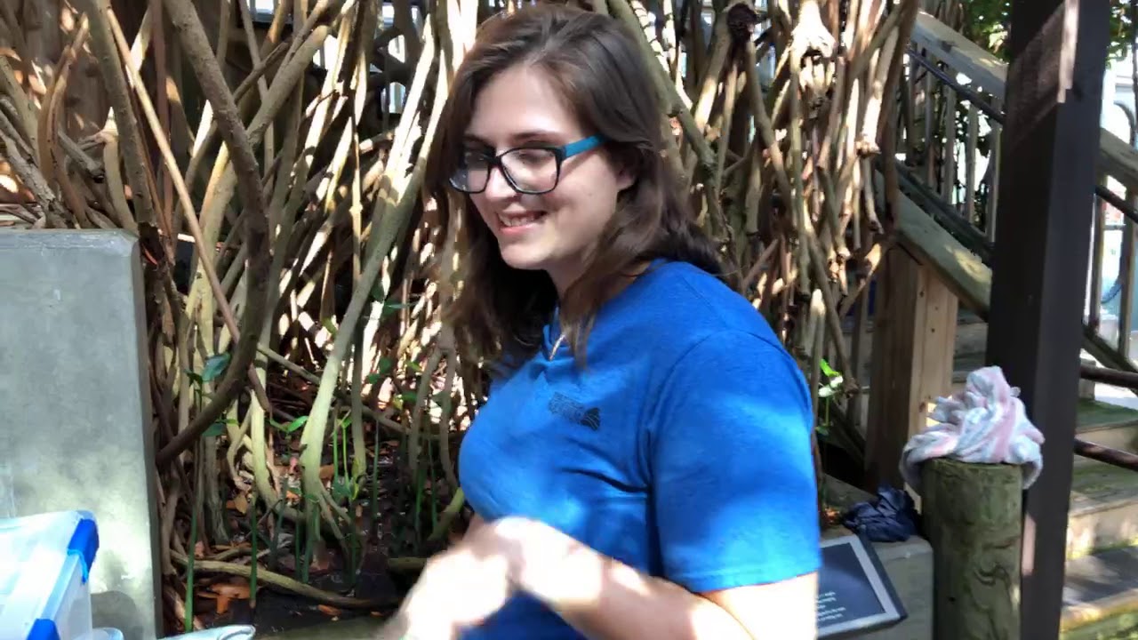 SEA-SPAN Episode 33: Rat snake feeding with Alyssa - YouTube