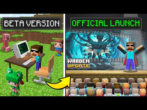 Birth to Death as a Minecraft Developer