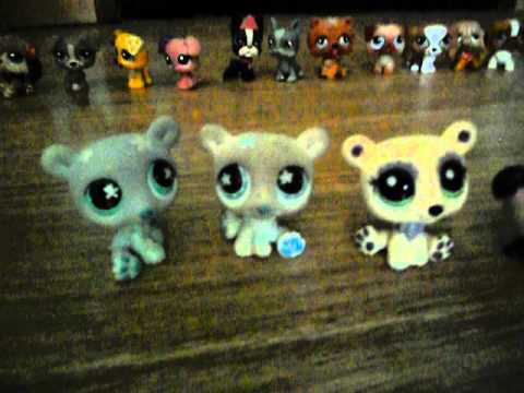 My LPS Collection! (Part 2: Actual Collection) - YouTube