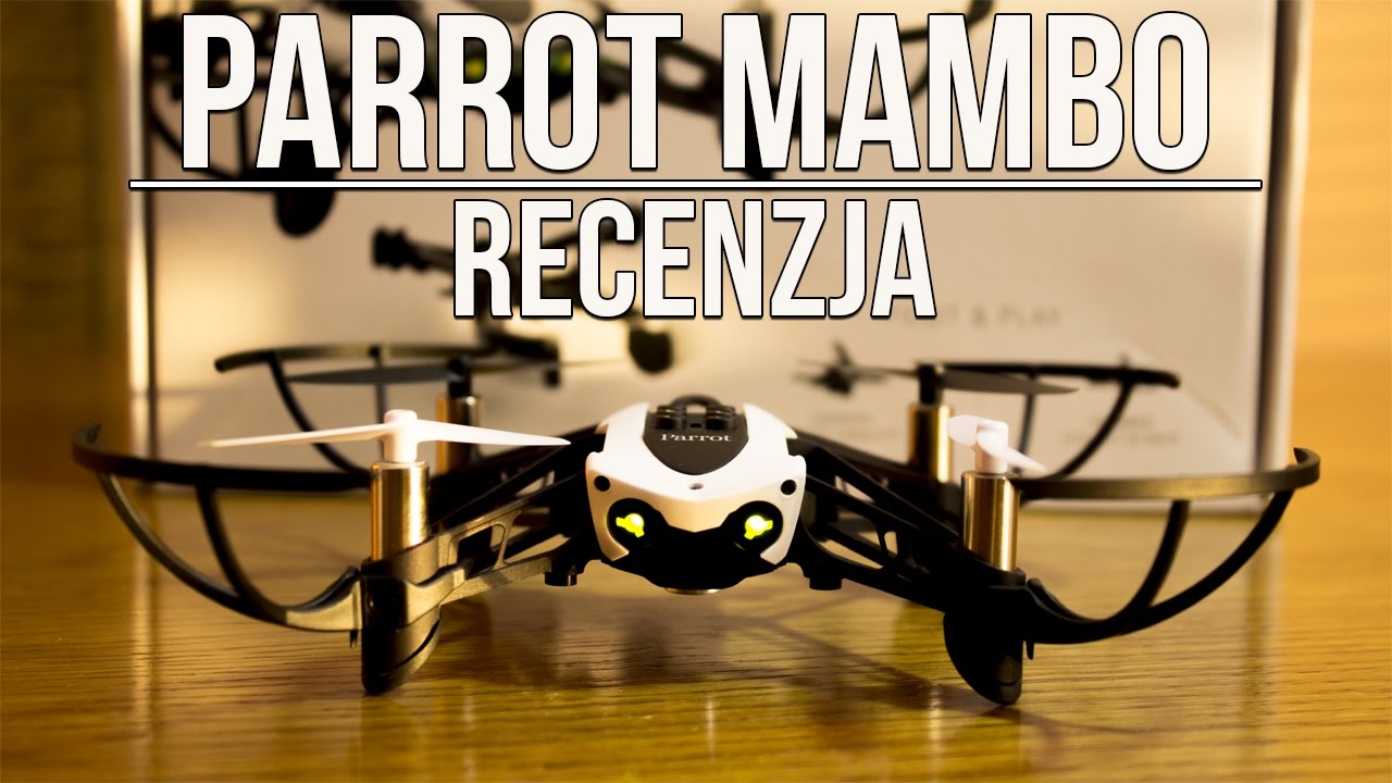 Parrot Mambo│Recenzja│ PL - YouTube