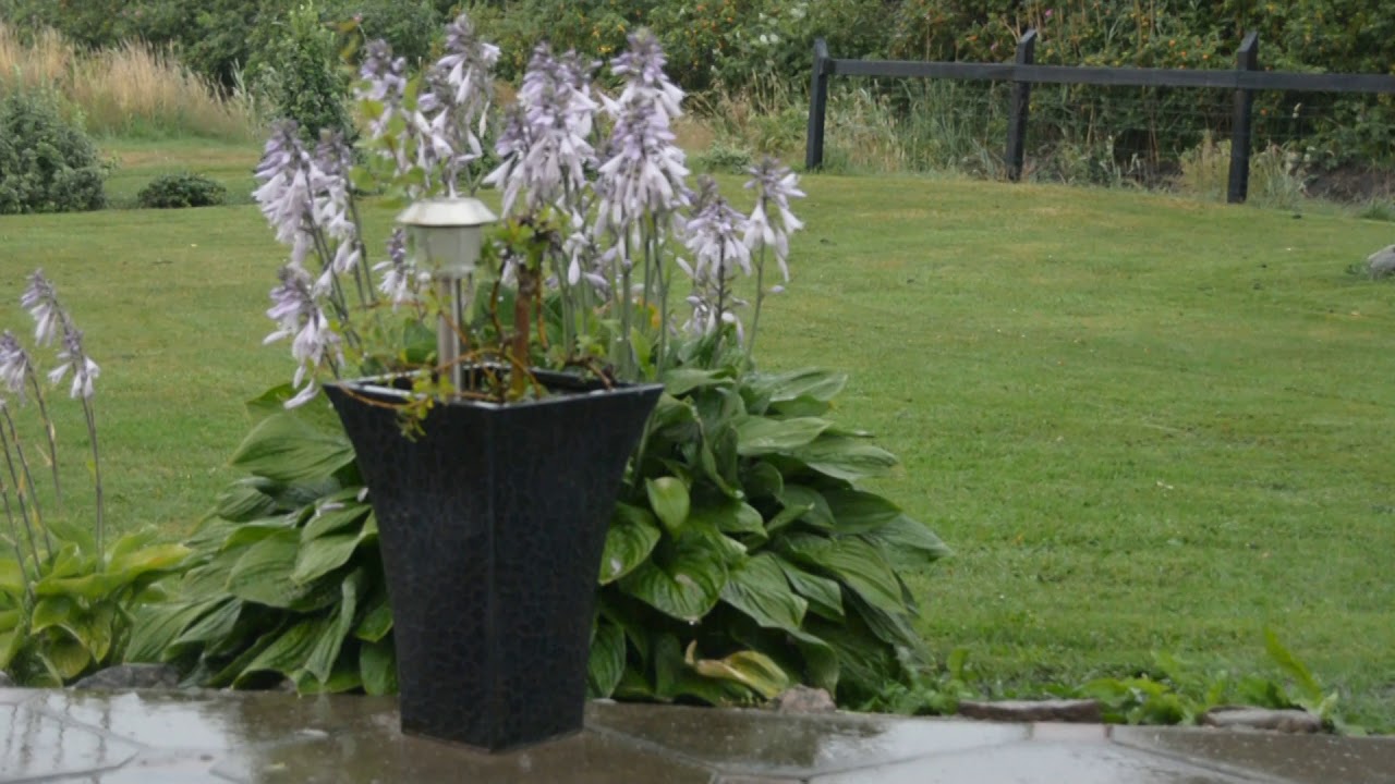 Baran .. Rain .. Regn - YouTube